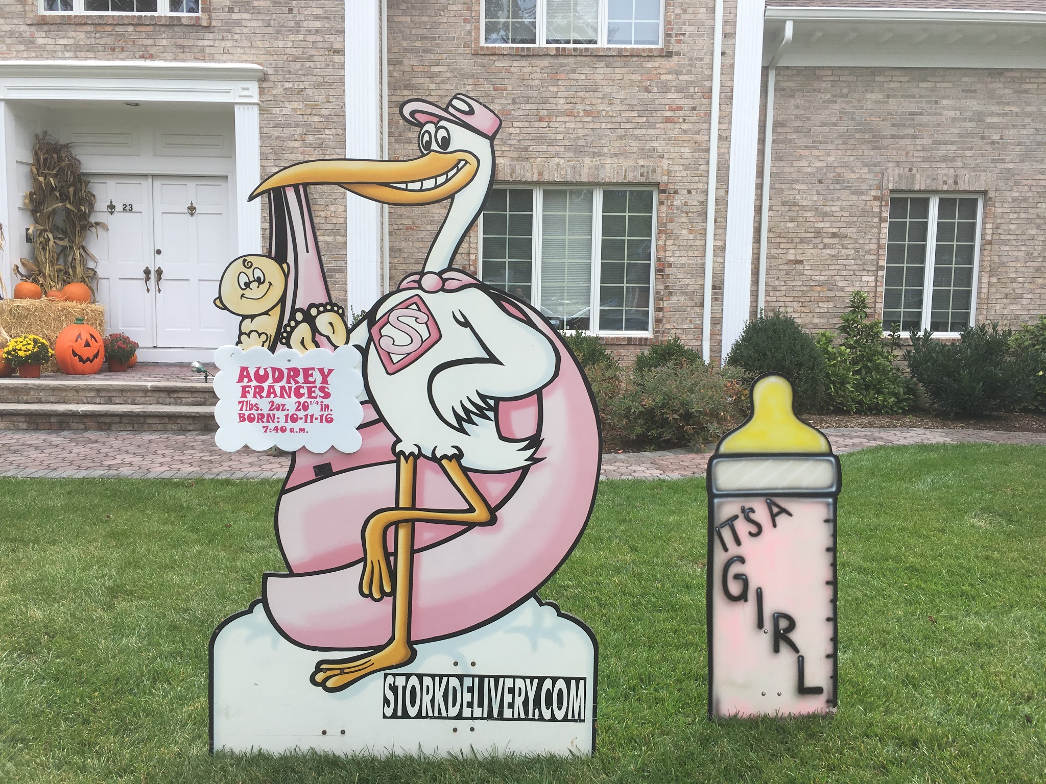 Rent a stork yard sign: Americas fascination with Stork Birth ...